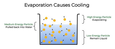If Evaporation Causes Cooling Of The Liquid Does Condensation Cause
