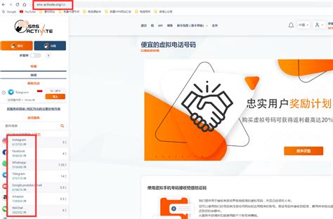 天涯工作室博客 好用的付费接码平台推荐 注册电报推特脸书OpenAi