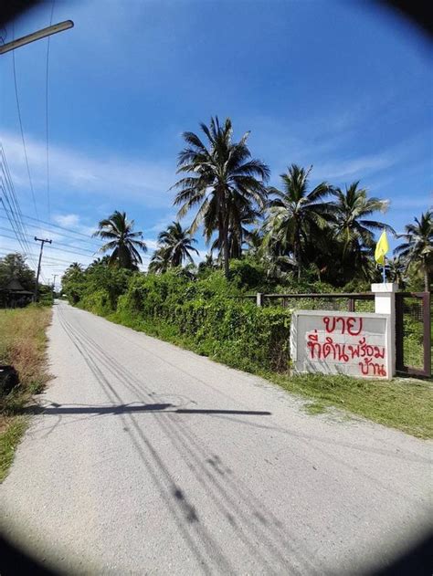 ขายที่ดิน สวนมะพร้าวน้ำหอม 14ไร่ 93 ตรว 7 2ล้าน Ennxo