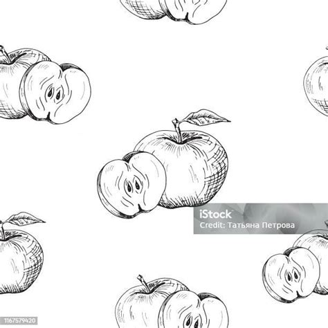 애플 배경 흰색 배경에 손으로 그린 검은 사과의 원활한 패턴 스케치 스타일 벡터 배경입니다 건강한 식생활에 대한 스톡 벡터 아트 및 기타 이미지 Istock