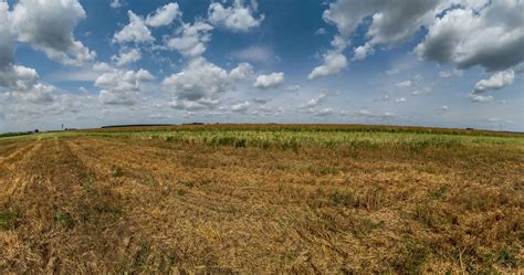 Dry Grass Little Planet Loop Transformation With Curvature Of Space