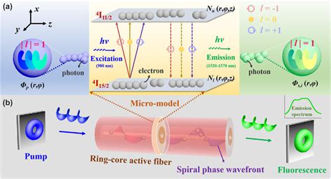 Oam Fluorescence Emission Process In A Ring Core Active Optical Fiber