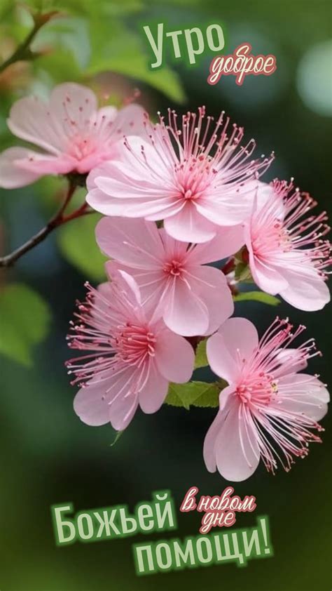 Доброе утро 💕 в 2024 г Телефонная карта Доброе утро Христианские картинки