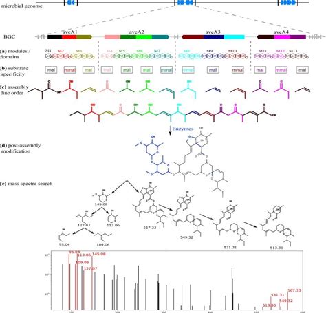 Advancing Natural Product Drug Discovery With Ai U M Biosciences Initiative