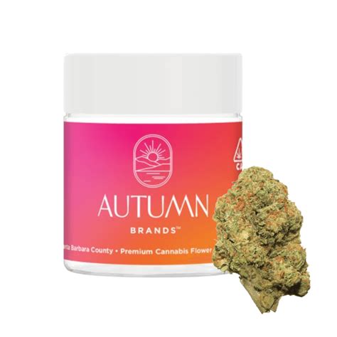 Airfield Supply Co Premier Cannabis Dispensary In Redwood City Ca