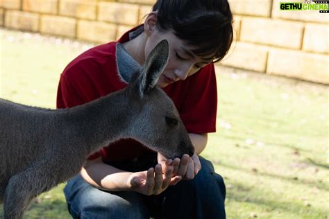Haruka Ayase Gethu Cinema