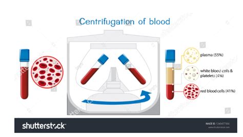 Centrifugation Definition Principle Applications Types Process 88guru