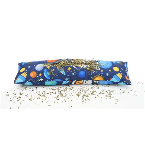 Catnip Cozy Pillow Define Planet