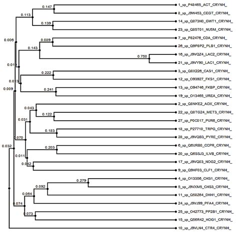 Multiple Sequence Alignment Through Tree Construction Download Scientific Diagram
