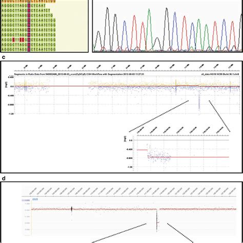 Trim32 Variants Identified A Igv Viewer Visualization Of The Download Scientific Diagram