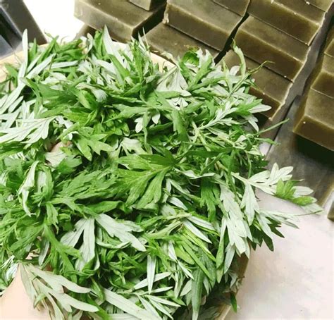 官方站台灣艾草皂 全年濕氣毒氣 晦氣 除穢安神 5年陳艾蕲艾 引財檀香 貴人麝香不僅可以趕走全年濕氣毒氣還可以淨化磁場去除晦氣