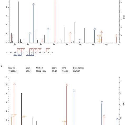 Protein Interaction Networks Based On Protein Protein Interaction Download Scientific Diagram