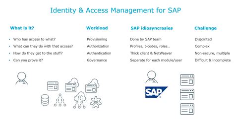 Identity And Access Management Iam For Sap