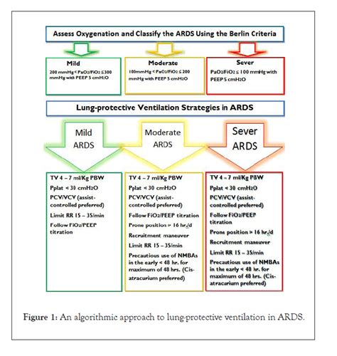 Protective Lung Strategies At Julius Scudder Blog