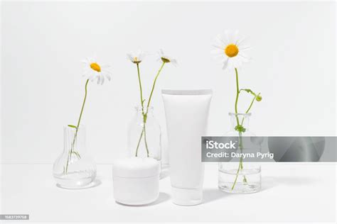 가로 이미지 흰색 모캡 튜브와 흰색 격리된 배경에 카모마일 추출물이 있는 보습 크림 병 아름다움의 개념 피부 관리를 위한 천연 화장품 0명에 대한 스톡 사진 및 기타 이미지