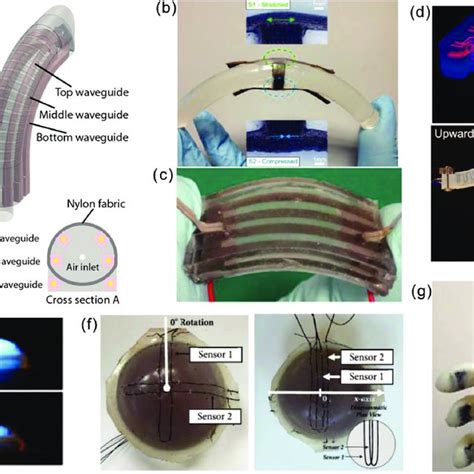 Examples Of Soft Robotics Proprioception A A Soft Bending Actuator
