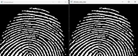 计算机视觉 Opencv代码详细教程）（三） 图像形态学形态学 Opencv Csdn博客