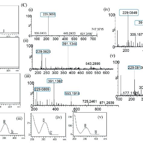 A Hplc Analysis Of Resveratrol Reaction Mixture I Control Reaction