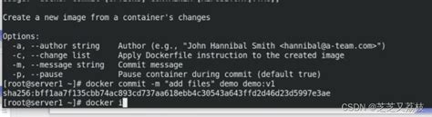 Docker镜像的分层结构、dockerfile的编写及镜像封装优化dockerfile分层打包 Csdn博客