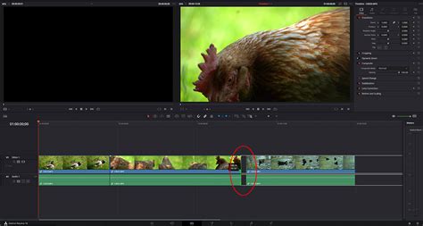 How To Edit In DaVinci Resolve Tutorial For Beginners