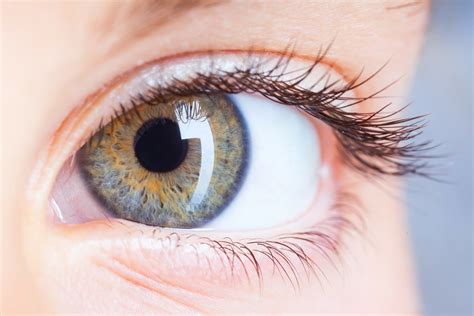 Corneal Injuries Au