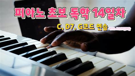 퇴근 후 취미생활 하루 30분 피아노 독학 14일차 C코드 G코드 D7코드 연습 Youtube