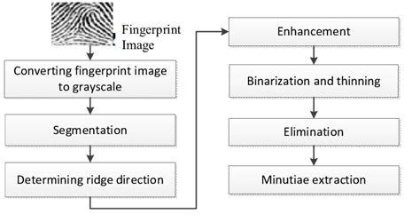 The Pre Processing Steps Used In Fingerprint Systems Download Scientific Diagram