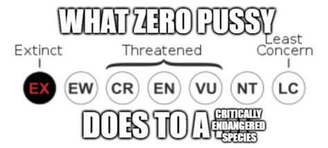 What Zero Pussy Does To A MF Know Your Meme