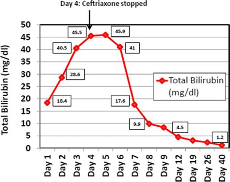 Normal Values Bilirubin Test At Debra Helton Blog