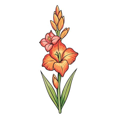 Gladiolus Clip Art 5818314 Clipart Library