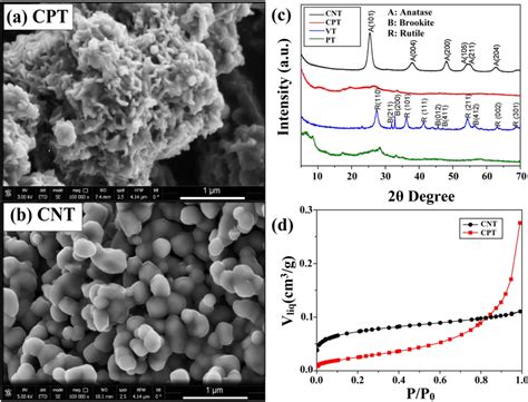 A B Sem Images C Xrd Patterns D N2 Adsorption Isotherms Of Download Scientific Diagram