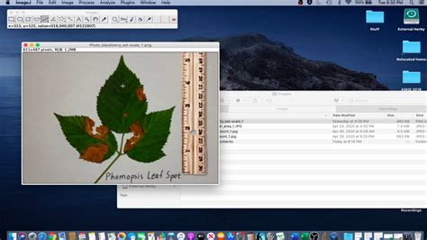 ImageJ Tutorial 1 2 Set Scale Photo YouTube