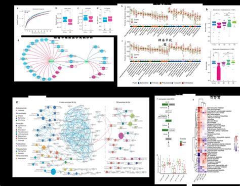 图解16s扩增子和宏基因组测序的差异 上海慕柏生物医学科技有限公司