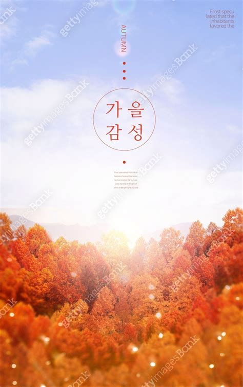 그래픽이미지 포스터 이벤트페이지 가을 단풍나무 낙엽수 단풍철 가을 단풍잎 잎 카피스페이스 콤퍼지션 이미지 Jv11933206 게티이미지뱅크