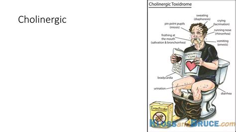 Toxidromes Pptx Illegal Drugs Tobacco Ecigarettes Vaping Alcohol Sensitive Topics