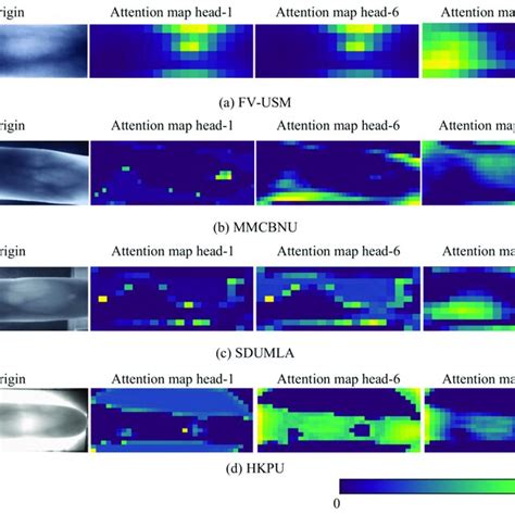 Comparison Of Finger Vein Images Before And After Roi In Four Public Download Scientific