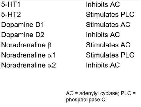 22 Neuro Neurotransmitters System Iii Monoamines Flashcards Quizlet