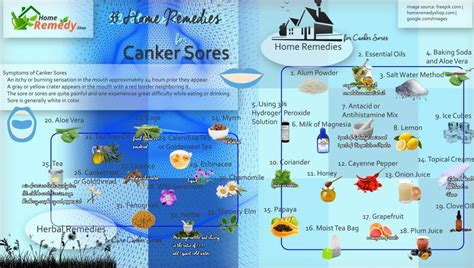 33 Home Remedies For Canker Sores Infographic Home Remedies