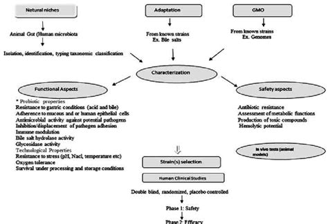 Procedure For The Isolation And Characterization Of Novel Strains With Download Scientific