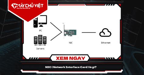 NIC Network Interface Card là gì Máy Chủ Việt