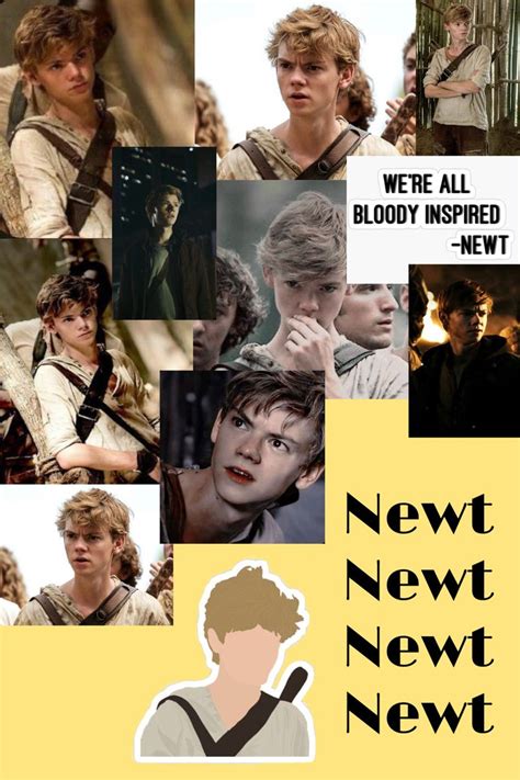 Newt Wallpaper Newt Newtie Wallpaper Tmr Sfondi