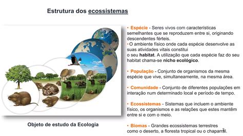 8º Ano Ppt 3 Interações Seres Vivos Ambiente Fatores Abióticos Pptx