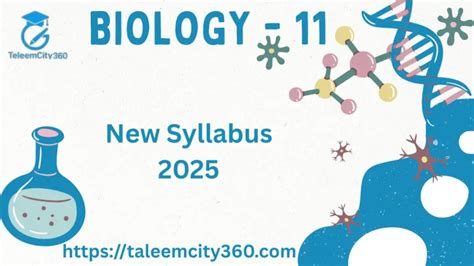 11th Class Computer Science Book Pdf Punjab 2025 New