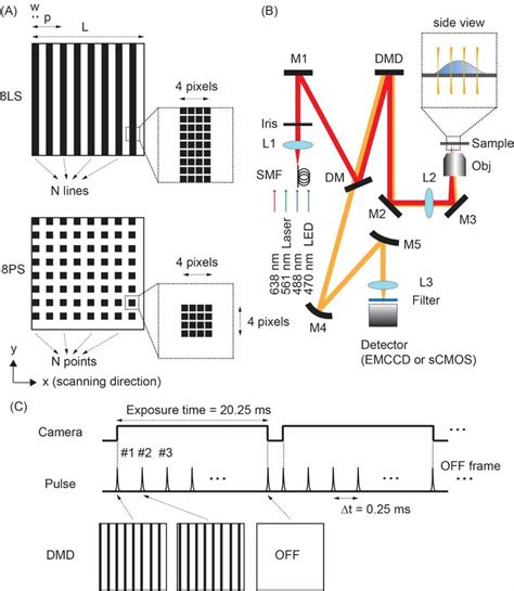 Dmd Based Mls Confocal Imaging System A Dmd Patterns For 8ls And 8 Download Scientific