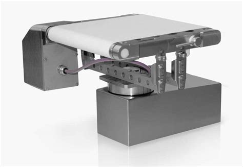Conveyor Weighing System For Industrial Use 50 Kg At ₹ 100000 In Nagpur