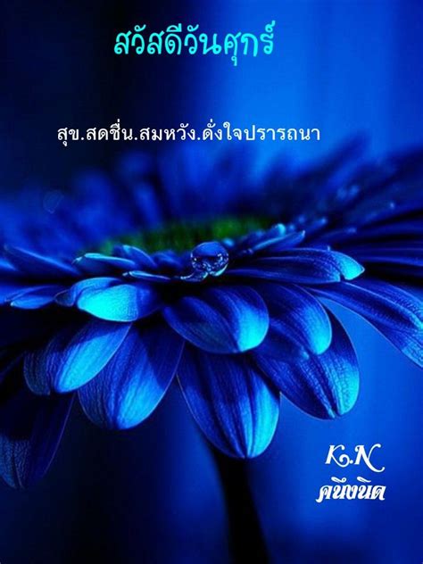 ปักพินโดย Terawan ใน Nice Day การถ่ายภาพ สวัสดี