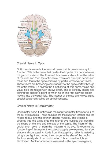 SOLUTION Cranial Nerves Studypool SOLUTION Cranial Nerves Studypool