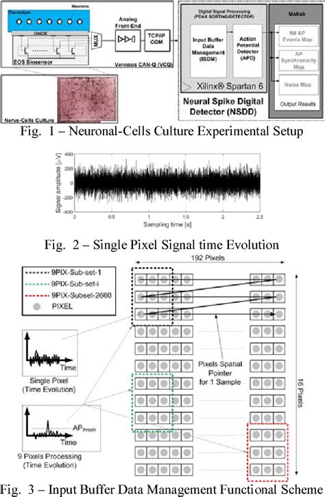 neural spikes digital detector sorting on fpga semantic scholar
