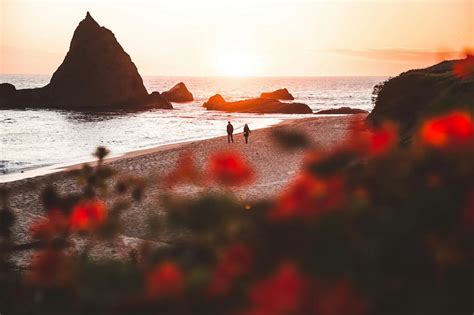 Gpt Vs Reasoning Vs Deep Research Which Chatgpt Brain Should You Use By Meagan R Medium