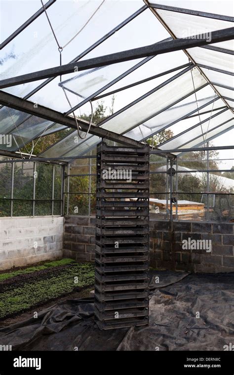 Crates Stacked In The Greenhouse Of An Organic Farm Stock Photo Alamy